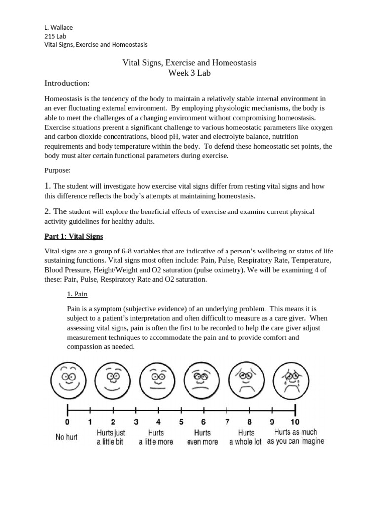 Vital Signs, Exercise and Homeostasis Lab Week 3 | PDF | Pulse ...