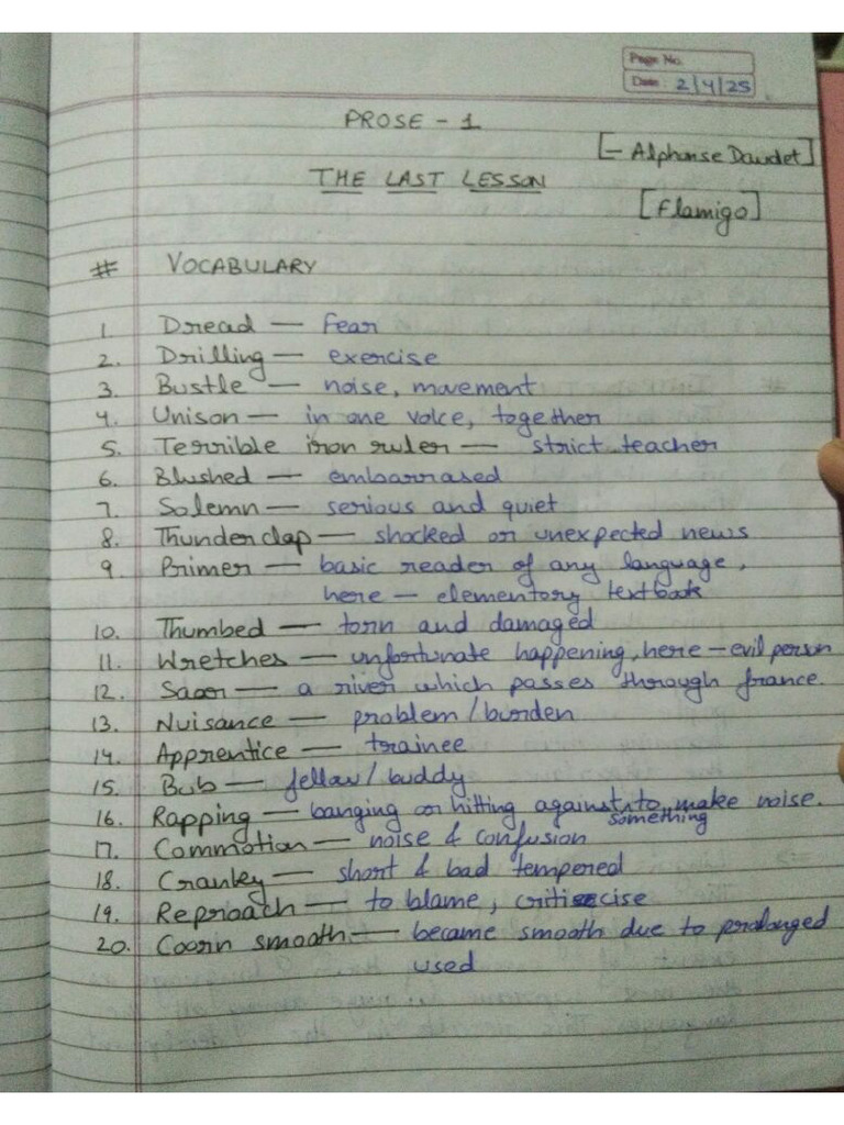 ENG PROSE 1 (Flamingo) | PDF