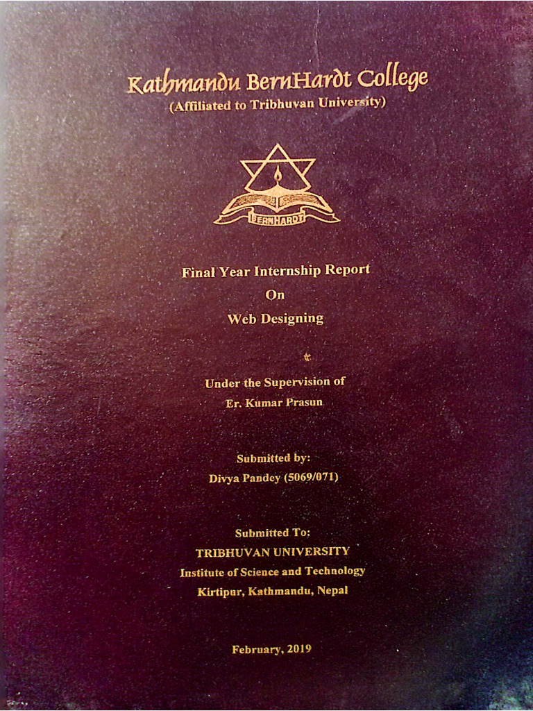 Final Year Project | PDF