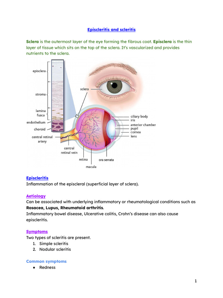 Distinguishing Episcleritis and Scleritis | PDF | Diseases And ...