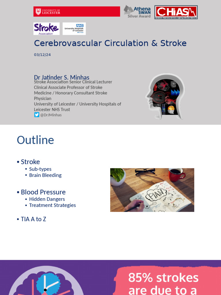 Cerebrovascular Circulation and Stroke | PDF | Stroke | Blood Pressure