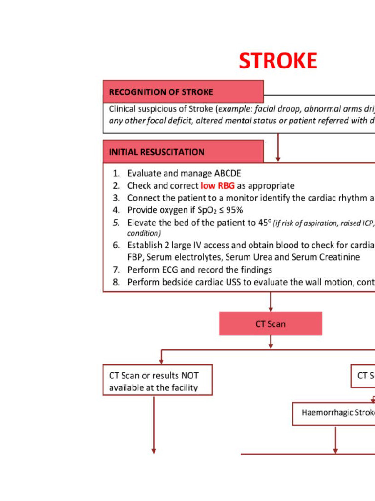 STROKE | PDF