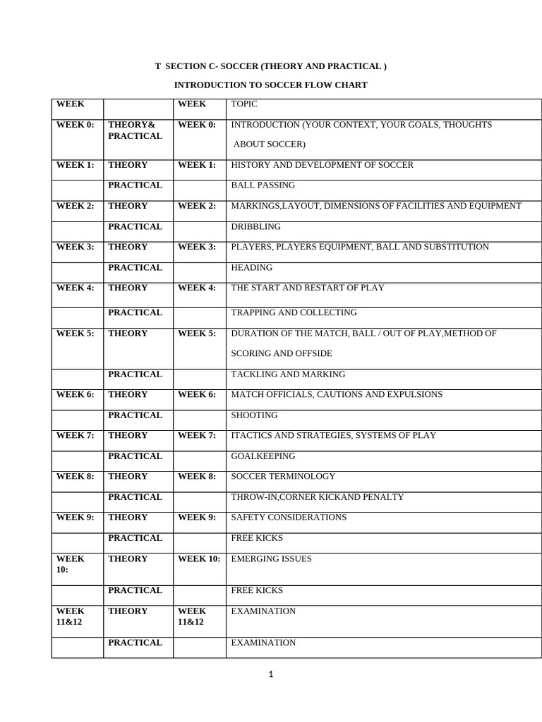 A Soccer Module Section | PDF | Association Football | Sports Rules And ...