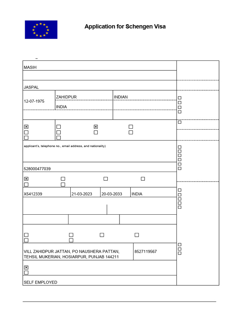 schengen-visa-form (Sweden) (4) | PDF | Travel Visa | Passport