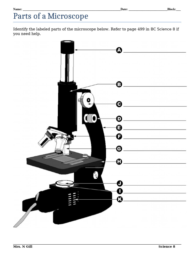 Microscopes Diagram Worksheet | PDF