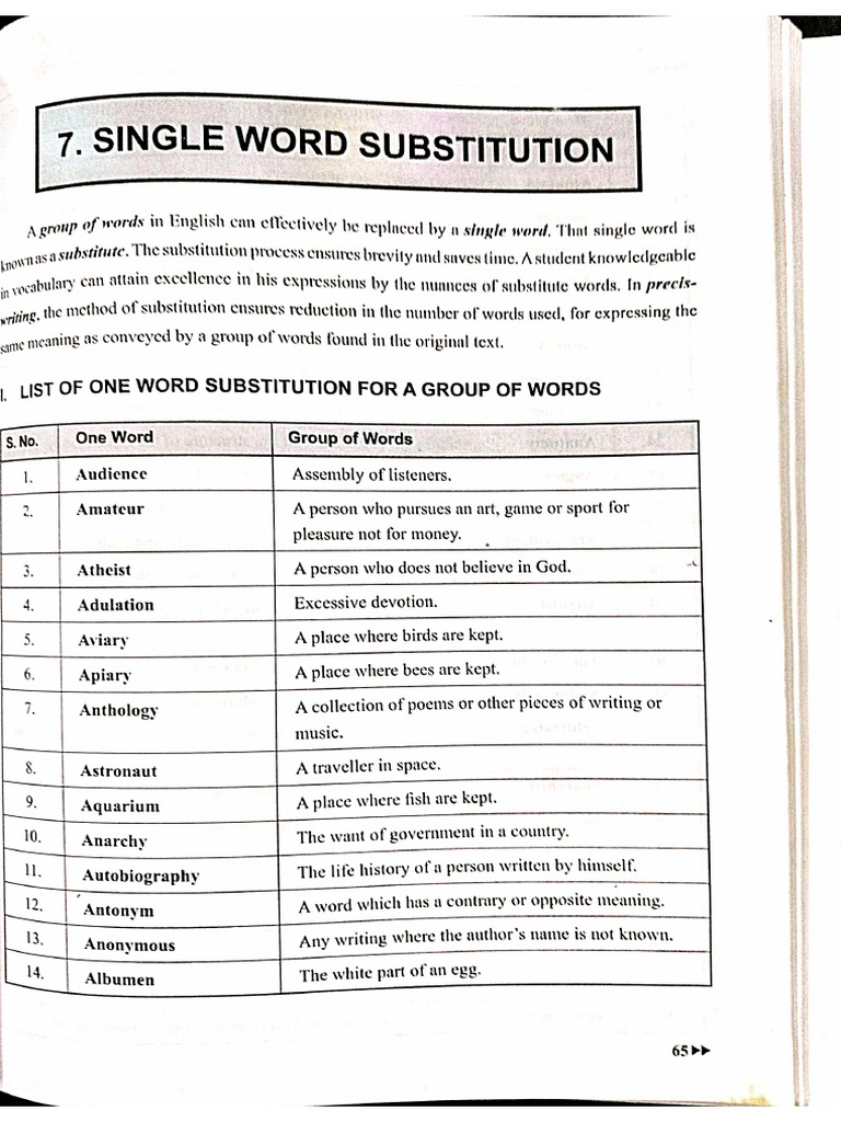 Single Word Substitution | PDF