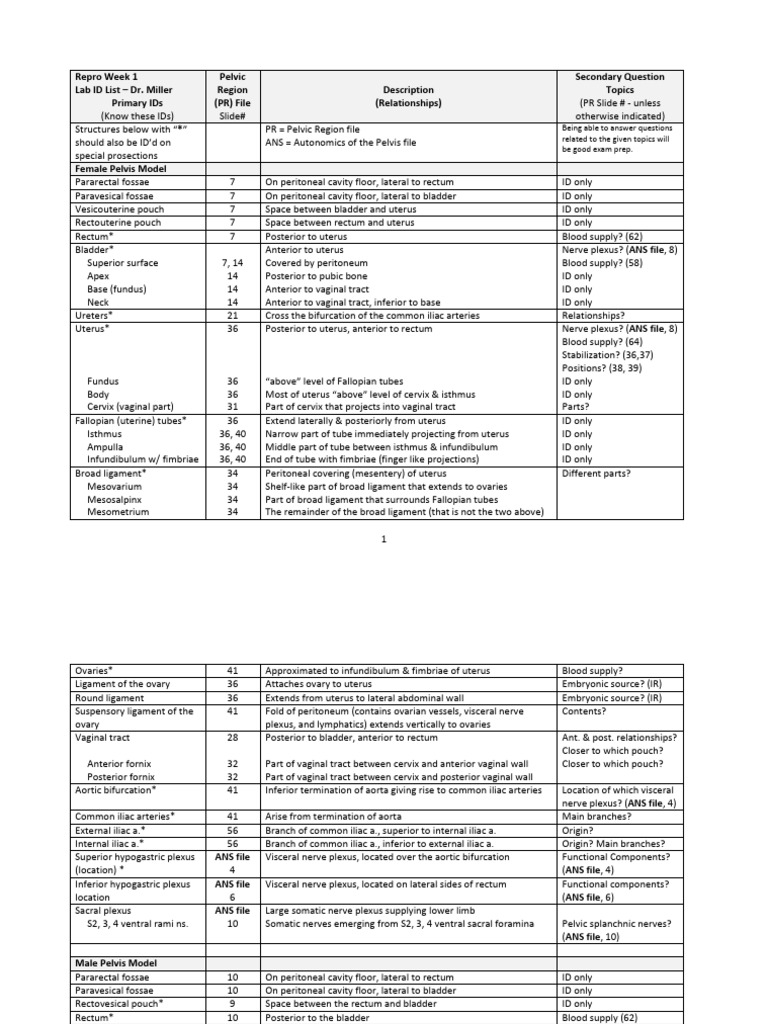Pelvic Region Lab Id List - 2023 | PDF | Pelvis | Uterus