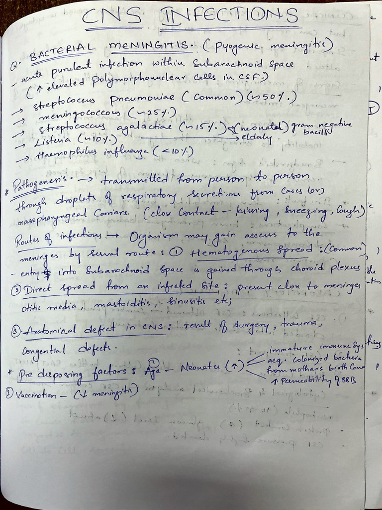 Cns Micro | PDF