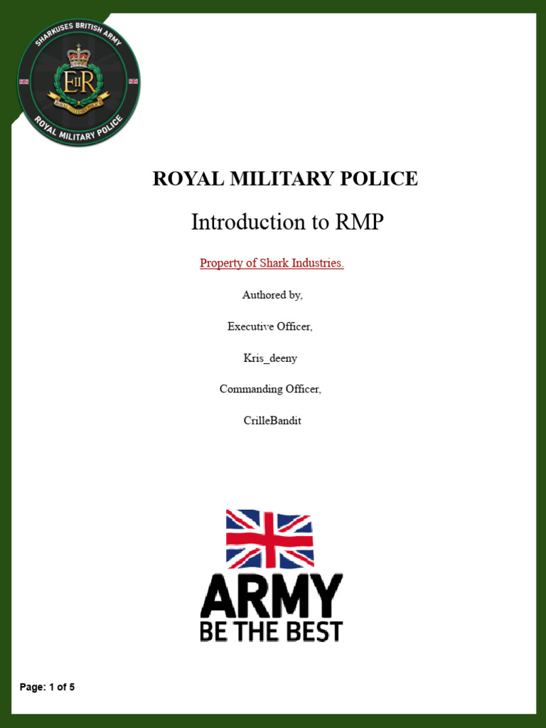 RMP - Introduction Into RMP Updated 15 - 03 - 2023 | PDF | Legal Action ...