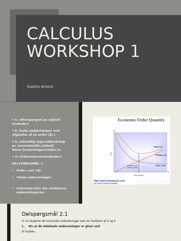 Workshop 1 Calculus Eksamen | PDF