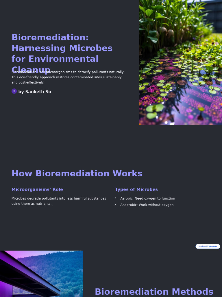 Bioremediation Harnessing Microbes For Environmental Cleanup | PDF