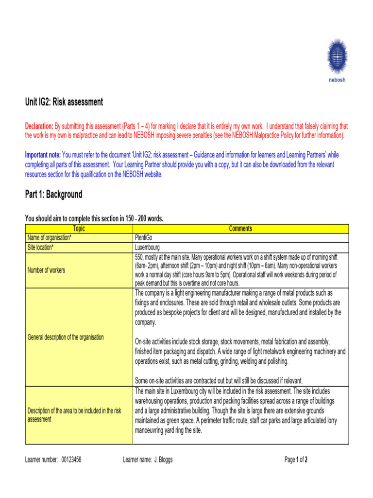 Plentigo IG2 Form Part 1 | PDF | Safety | Business