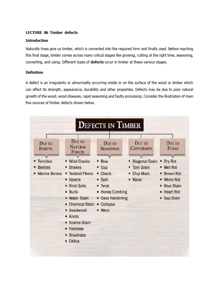CEU 07215 - Timber Defects - LECTURE 6 | PDF | Wood | Lumber