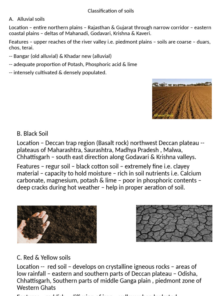 Forest Soil Characteristics and Locations | PDF | Soil | Natural Materials