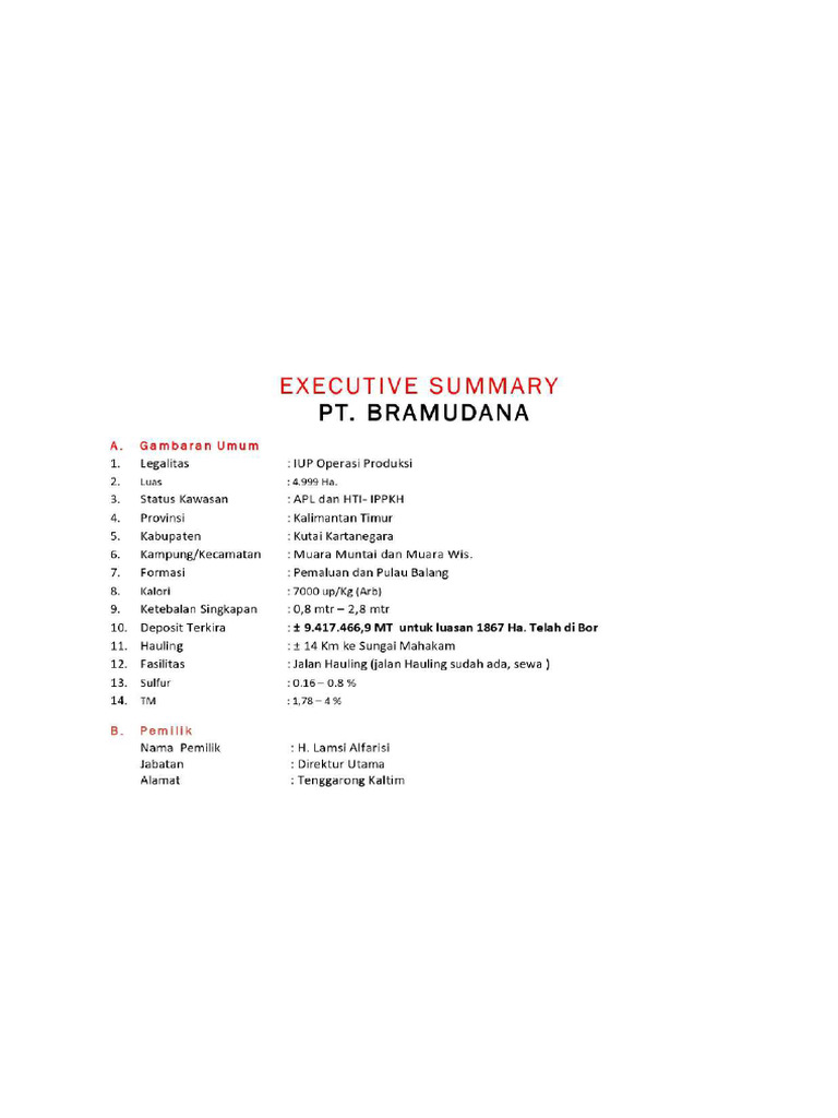 Executive Summary PT - Bramudana | PDF