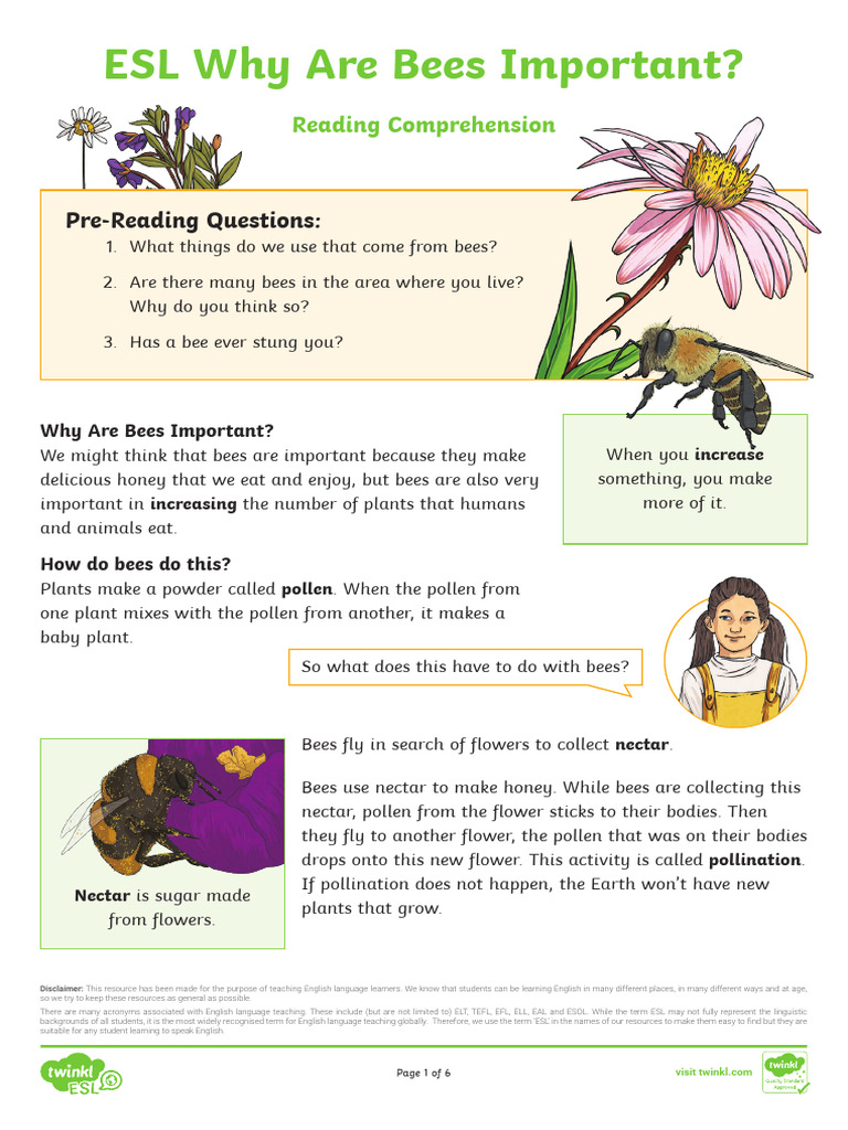 Importance of Bees and Pollination | PDF | Bees | Pollination