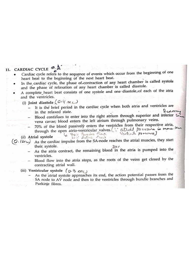 Cardiac Cycle | PDF