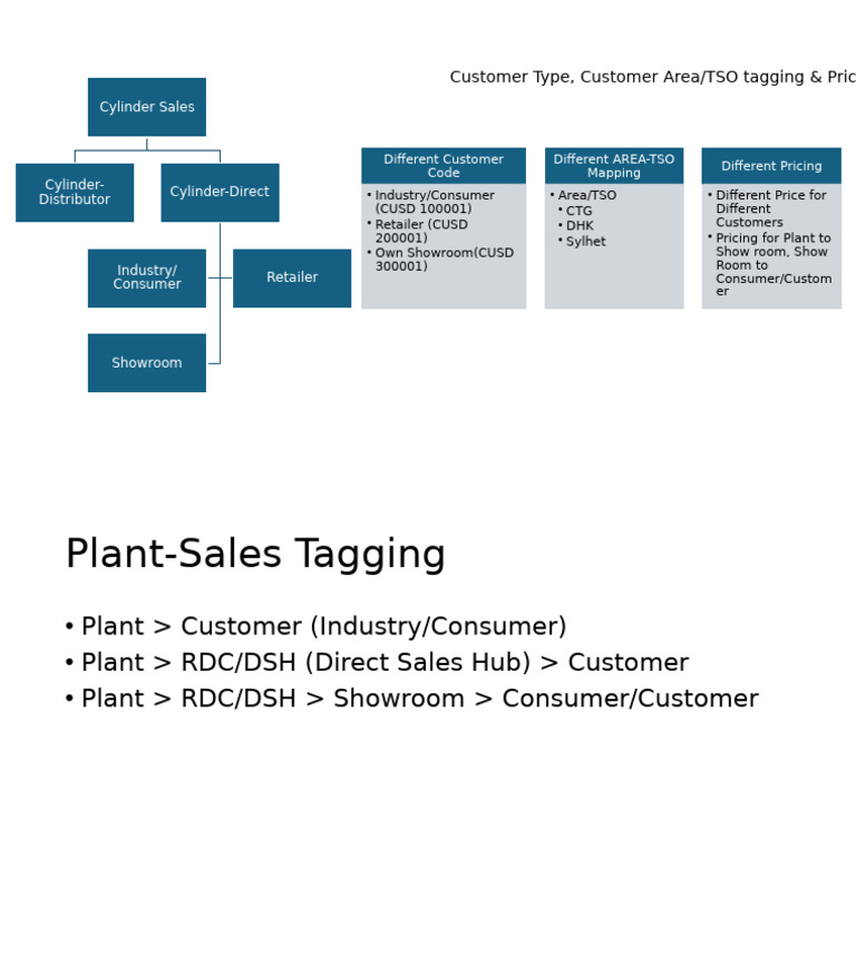 Direct Sales Mapping | PDF