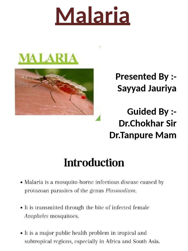 MalariaPresentation 1 | PDF