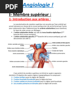 Anatomie Du Bras | PDF