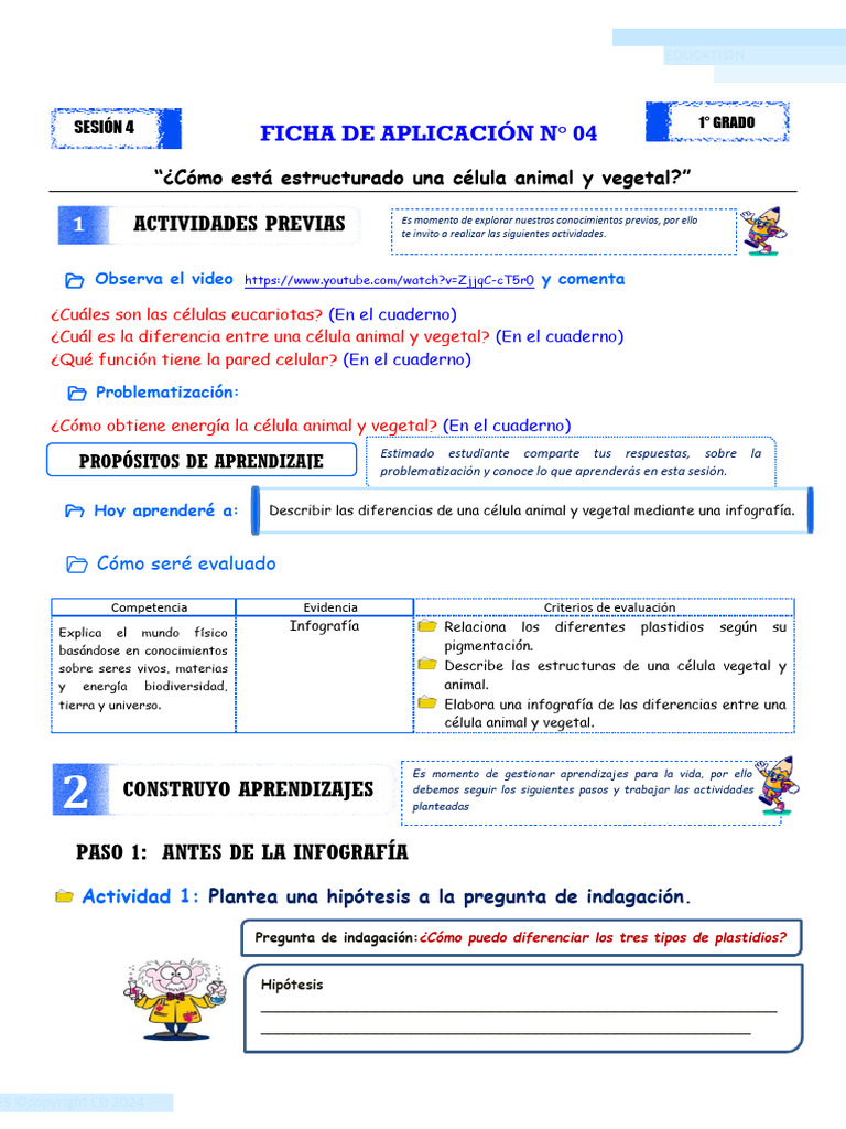 SESIÓN 4 - Cómo está estructurado una célula animal y vegetal - CYT - 1° ACTIVIDAD | PDF ...