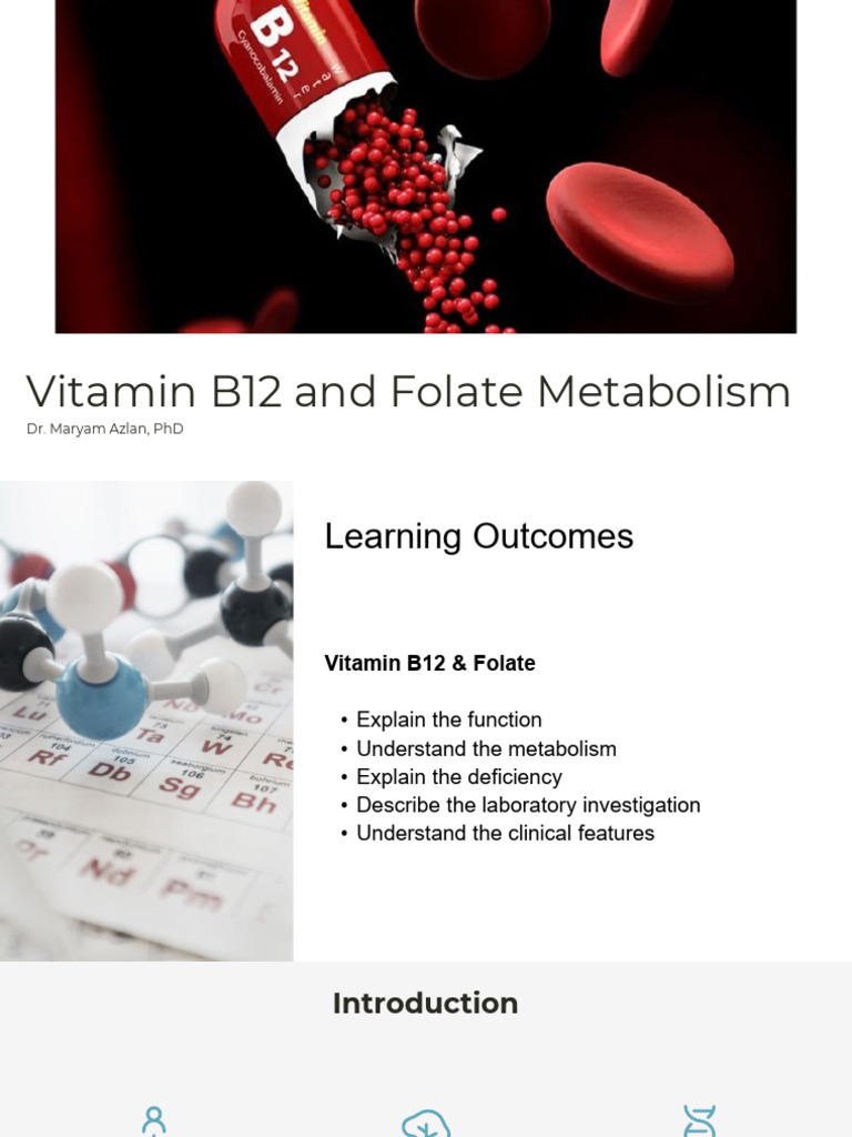 Vitamin B12 and Folate Metabolism Guide | PDF | Vitamin B12 | Anemia