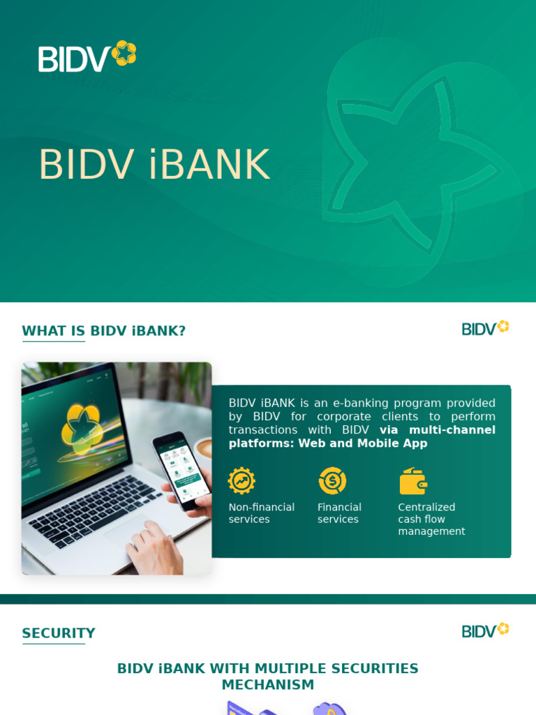 BIDV I Bank - ENG | PDF | Payments | Cash