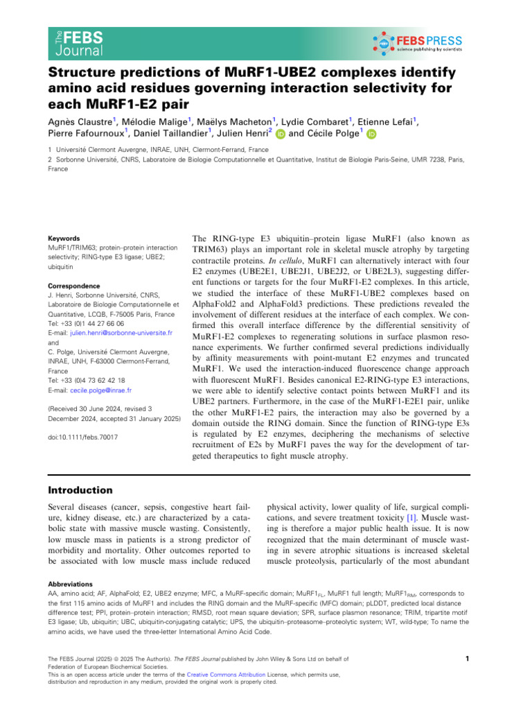 Structure Predictions of MuRF1-UBE2 Complexes Iden | PDF | Ubiquitin ...