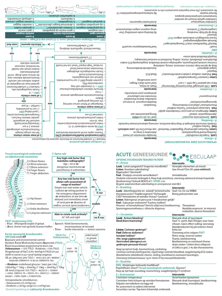 Acute Geneeskunde | PDF