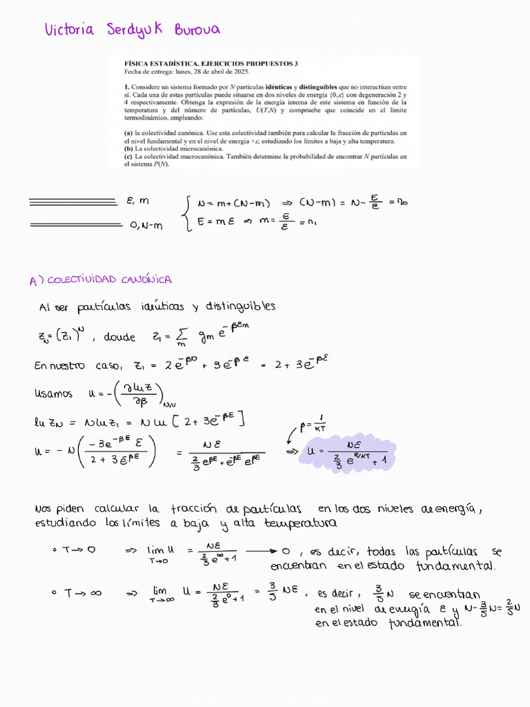 Entrega3 VictoriaSerdyuk | PDF