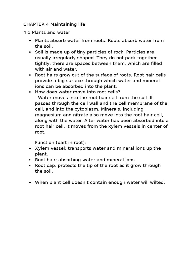 Plant Water Absorption Explained | PDF | Excretion | Kidney