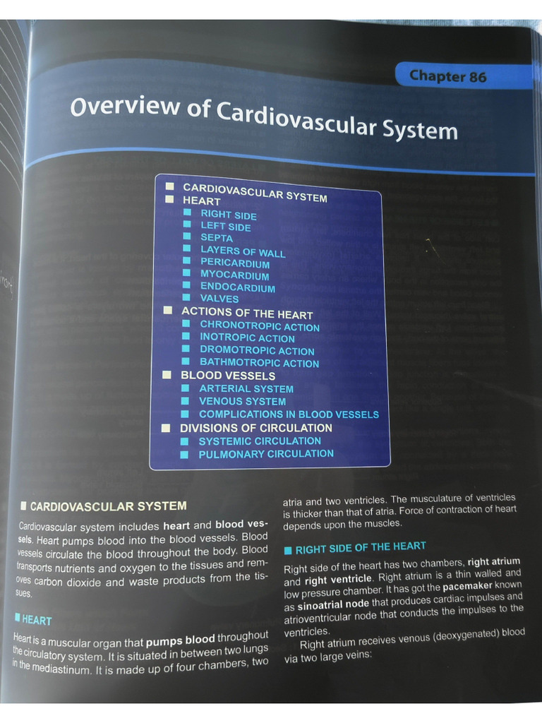 Cardiovascular System | PDF