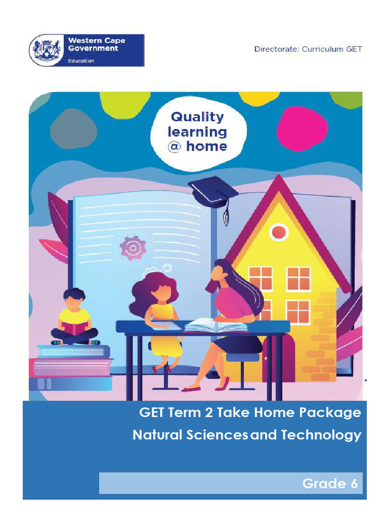 GR 6 Natural Sciences and Technology Take Home Pack Term 2 | PDF ...