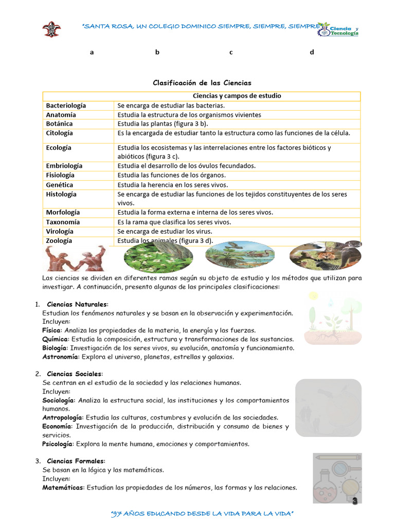 A-1º Act 1-Cyt-Und 1 | PDF | Organismos | Science