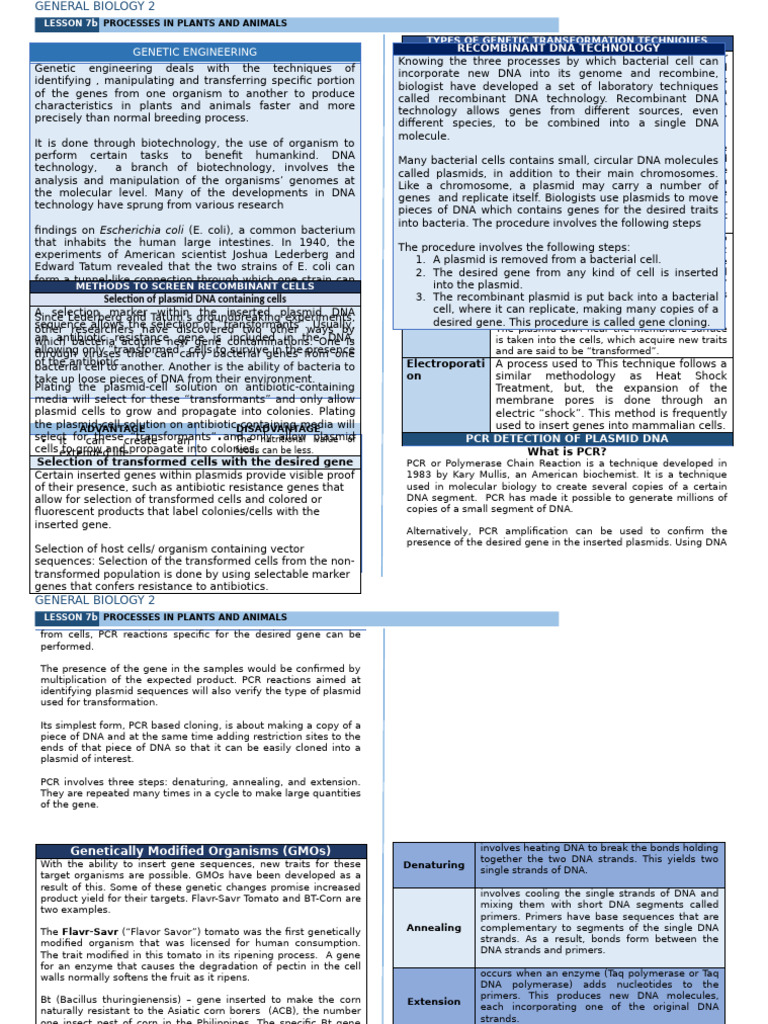 Genetic Engineering Notes | PDF | Plasmid | Polymerase Chain Reaction
