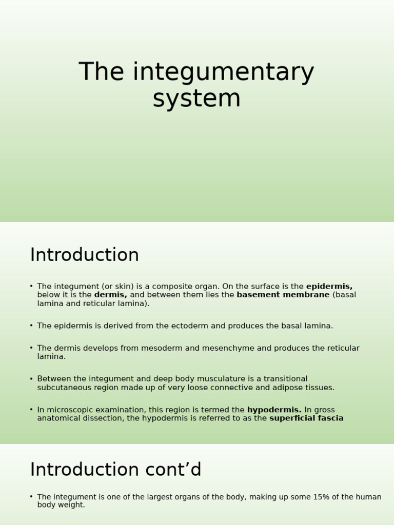 03 Comparative Anatomy of Vertebrate The Integumentary System Dr. S.U ...