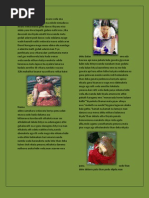 Mamandi | PDF | Teaching Methods & Materials