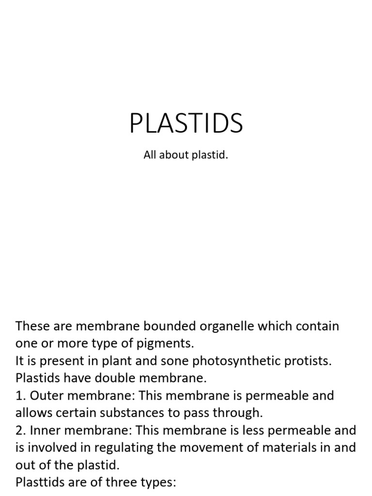Understanding Plastids: Types and Functions | PDF