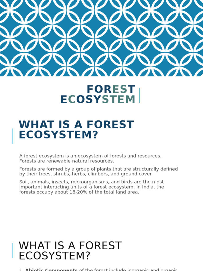 Forest Ecosystem | PDF | Forests | Rainforest