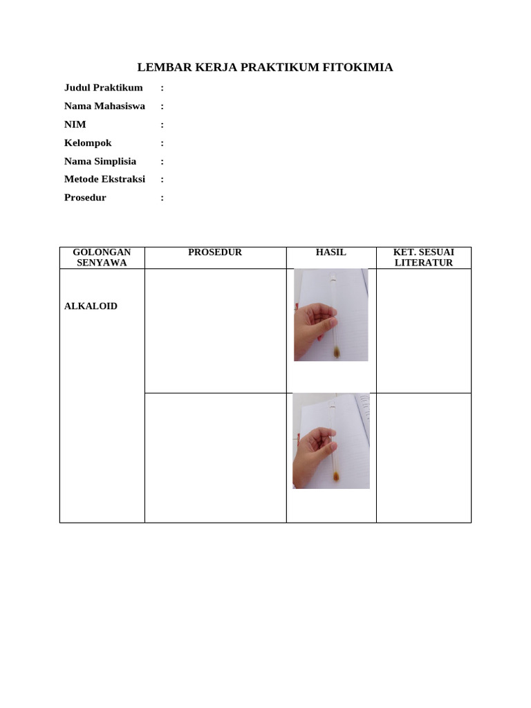 LEMBAR KERJA PRAKTIKUM FITOKIMIA UJI SKRINING | PDF
