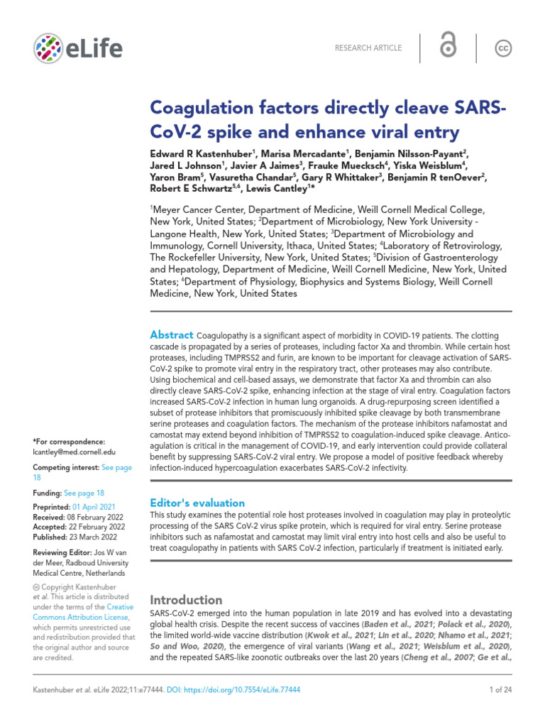 Coag Viral Entry | PDF | Protease | Cell Biology