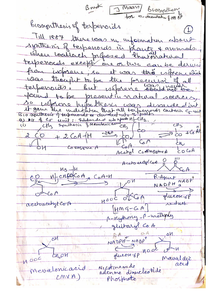 Biosynthesis Terpenes Pdf