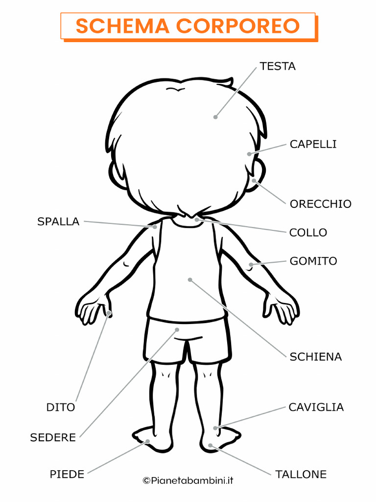Schema Corporeo Maschile Retro Nomi | PDF