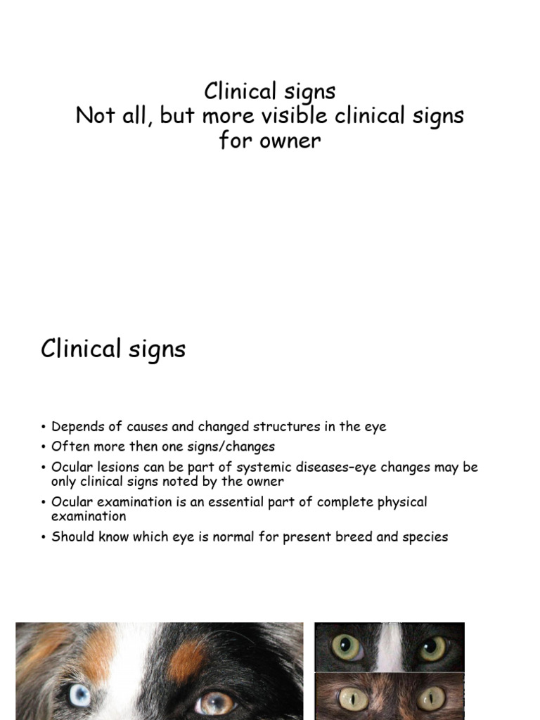 7. Clinical Signs (1) | PDF | Cornea | Human Eye