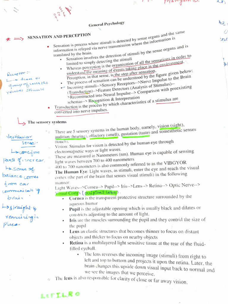 Sensation and perception | PDF | Classical Conditioning | Senses