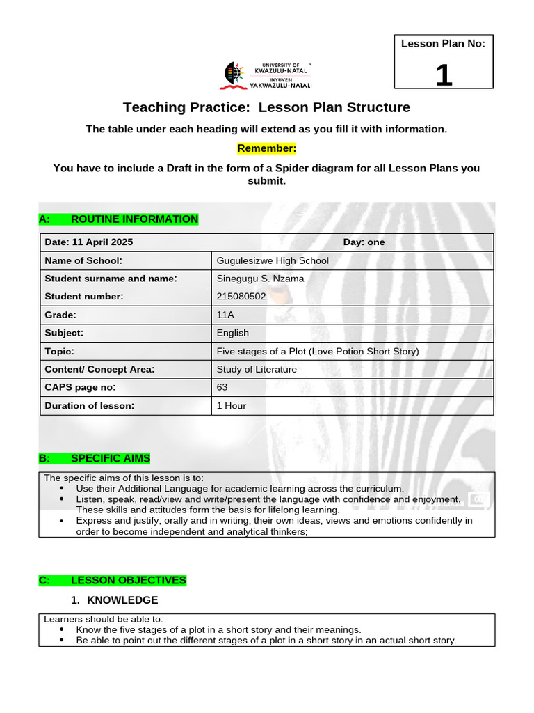 Stages of a Plot lesson Plan done_052431 | PDF | Lesson Plan | Learning