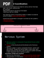 Nervous System Diagram | PDF