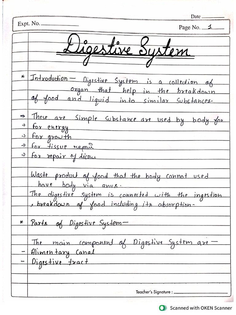 Physiology Notes | PDF