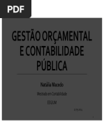 SNC-AP: Estrutura e Normas Contábeis Públicas | PDF | Contabilidade ...