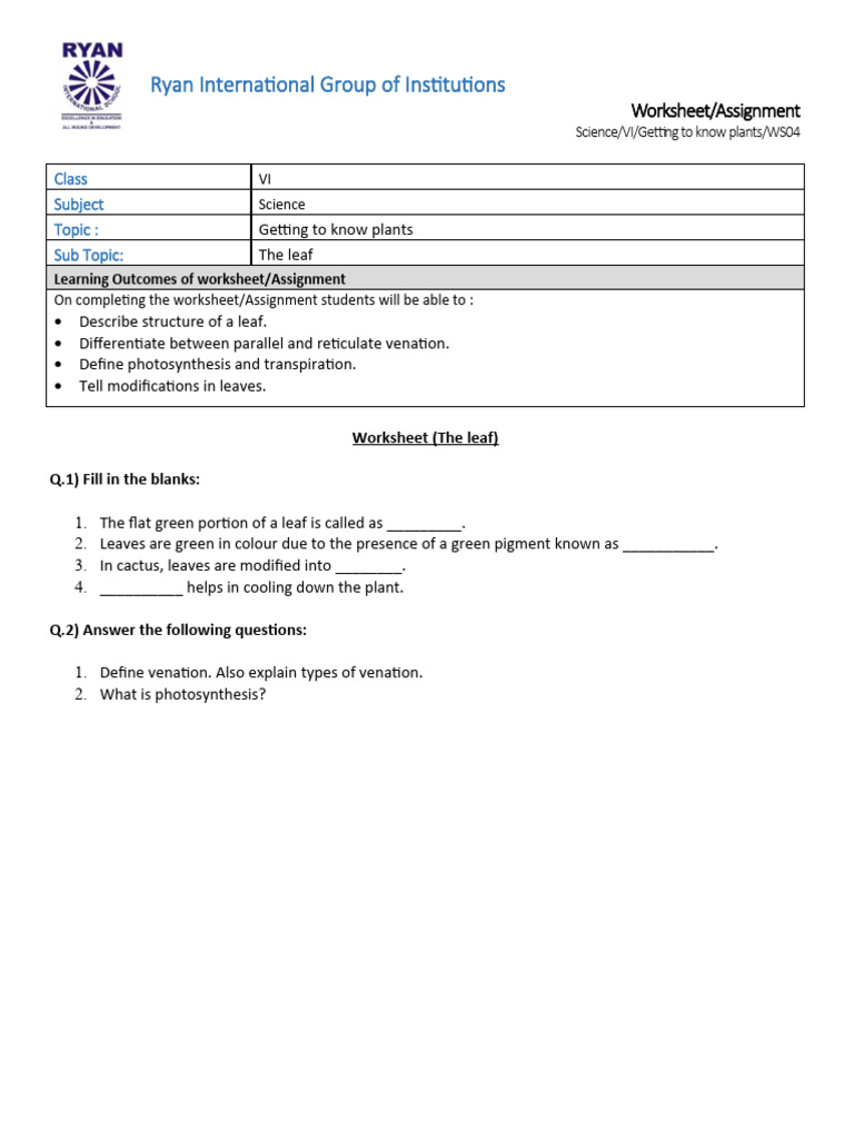 Worksheet Sub Topic 4 | PDF